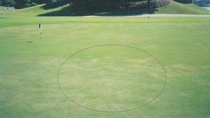 The Root of the Problem - Golf Course Industry