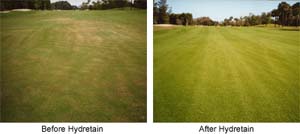 Ecologel introduces Hydretain Granular QD - Golf Course Industry