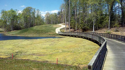 Common aquatic weeds - Golf Course Industry