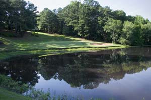 Affiniti to manage Griffin CC - Golf Course Industry