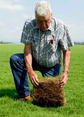 GCI EXCLUSIVE: A Rose by another name - Golf Course Industry