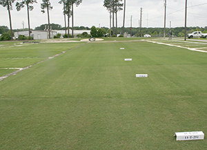 University of Georgia establishes turfgrass breeding endowment - Golf ...