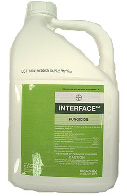 Bayer Interface Fungicide - Golf Course Industry