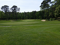 Ask the expert: Fight early summer diseases - Golf Course Industry