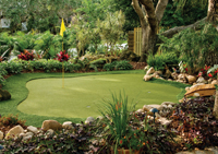Modular practice green - Golf Course Industry