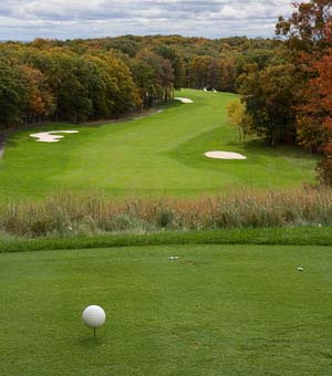 Tree care tips - Golf Course Industry
