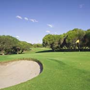 VIP – Measure success - Golf Course Industry