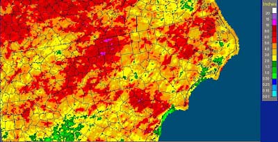 Pythium root rot: history repeating? - Golf Course Industry