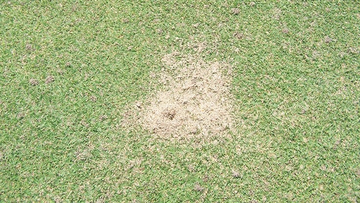 Innovation still never stops: Part 3 - Golf Course Industry