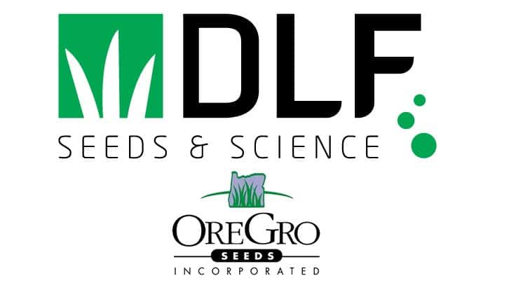DLF acquires OreGro Seeds - Golf Course Industry