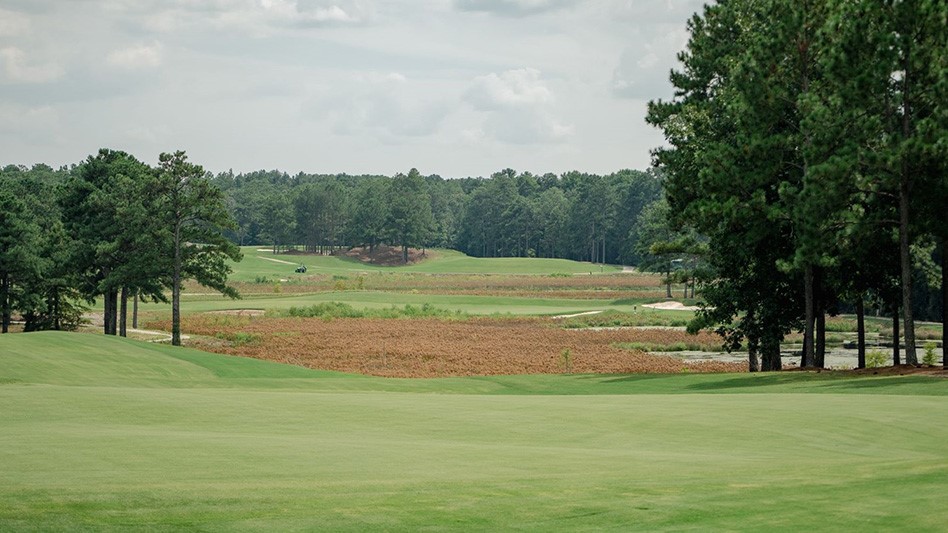 Pinehurst No. 8 reopening following agronomic remastering - Golf Course ...