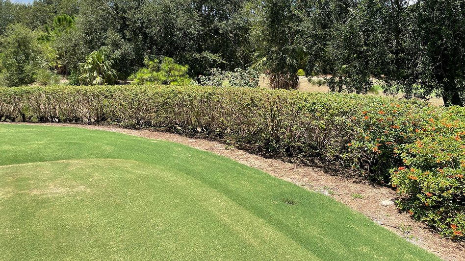 Cutting back - Golf Course Industry