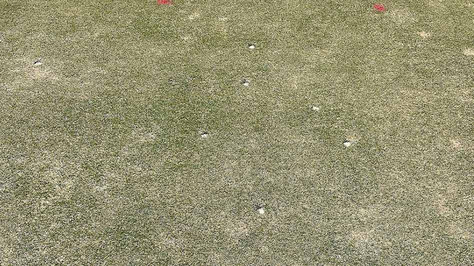 Best Use of Fungicides on Warm-Season Turf - Golf Course Industry