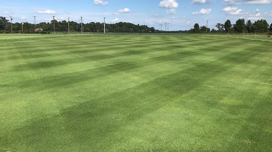 PGR’s Made Simple: Flexible Solutions to Manage Your Turf - Golf Course ...