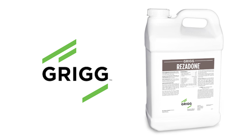 (Design conceptions) Cart path design - Golf Course Industry