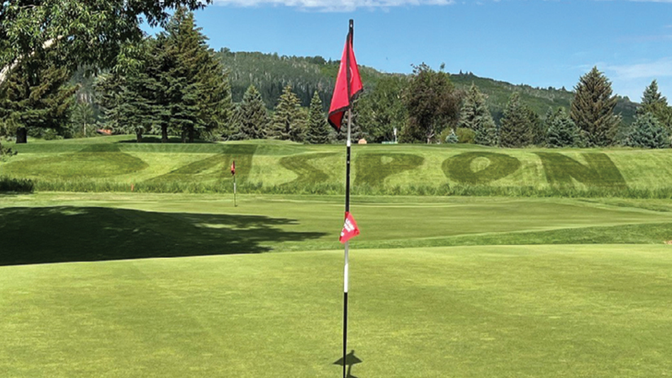 (Design conceptions) Cart path design - Golf Course Industry